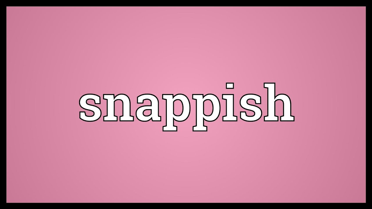 Snappish Meaning - YouTube