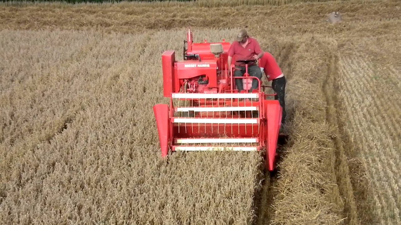 Massey Harris/Ferguson 735 Combining Oats - YouTube