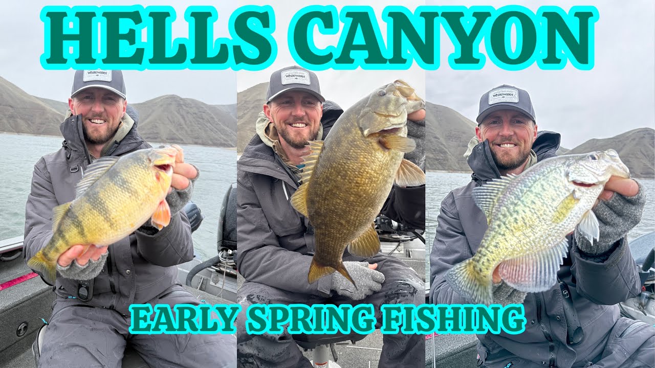 Hells Canyon Grand Slam: Bass, Crappie and Jumbo Perch (Blade Baits and ...
