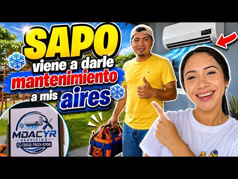 SAPO ahora es todo un profesional haciendo este trabajo/ BESSY queda super sorprendida de SAPO