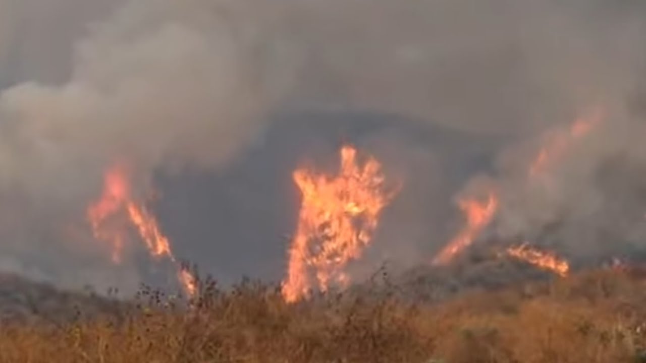 LIVE Line Fire Update for Sunday, September 8th 2024 - YouTube