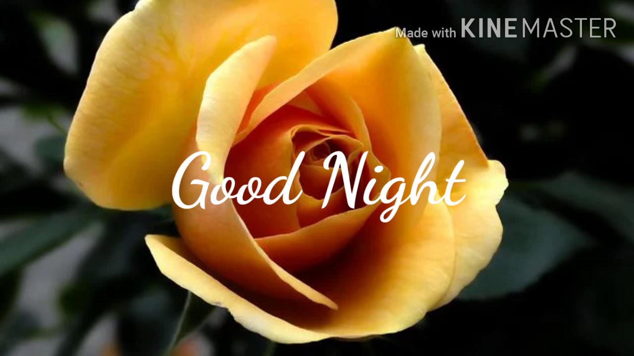 download good night images good night video with Background music for ...