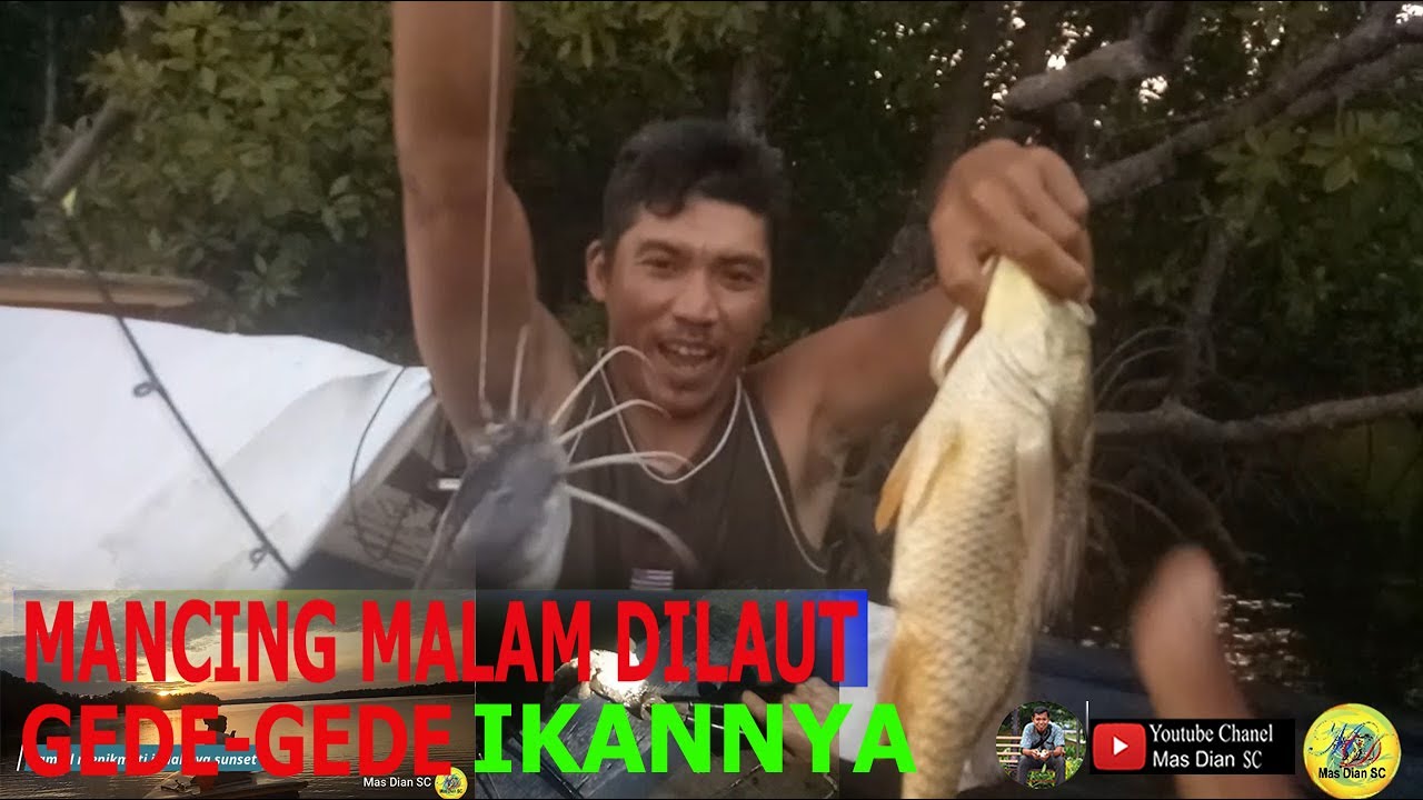 Mancing Malam Hari di Laut - YouTube