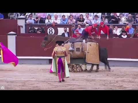 EL PICADOR DE UTRERA, AURELIO CRUZ, SE RECUPERA DE LA CAÍDA SUFRIDA EN LA PLAZA DE TOROS DE MADRID