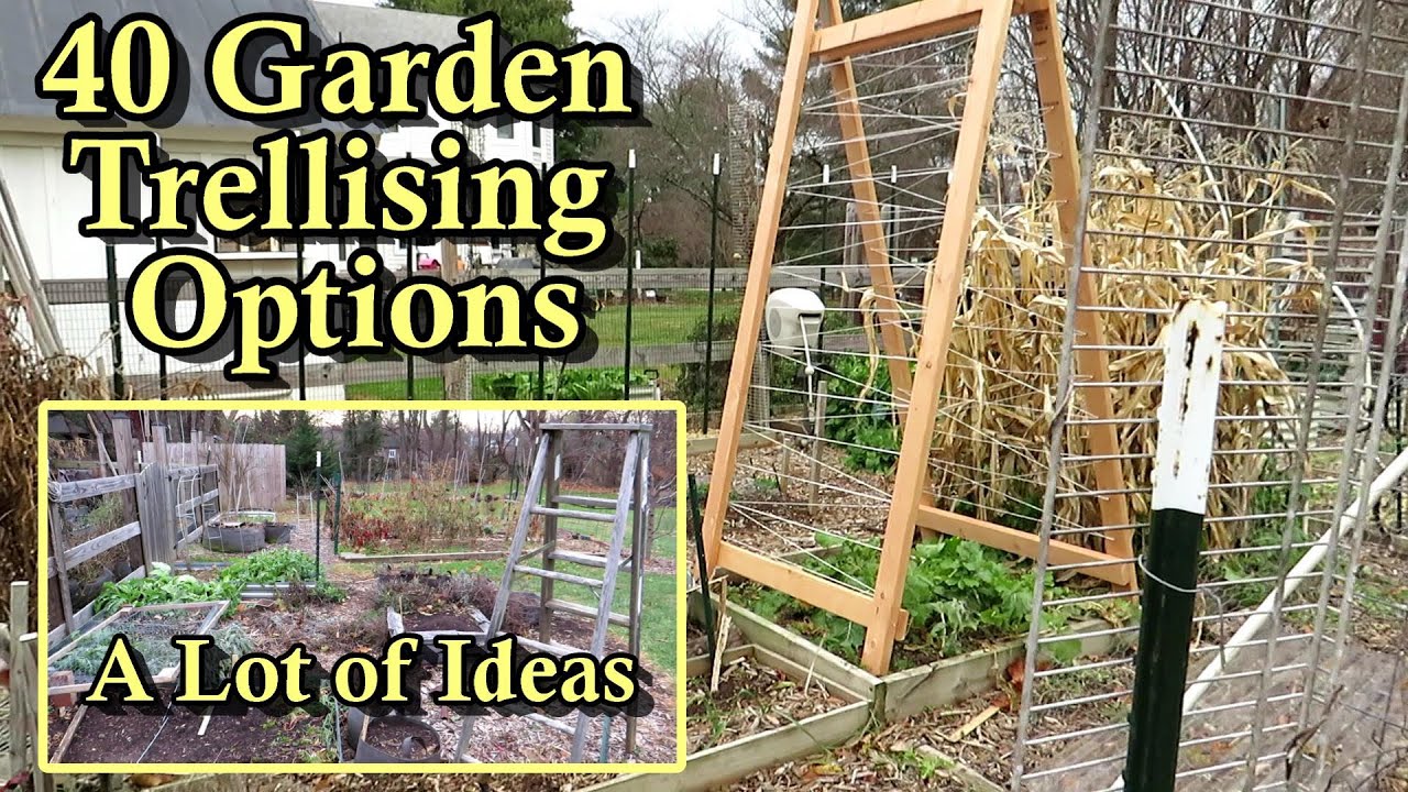 Homemade Cucumber Trellis Plans 40 Garden Trellising Examples For