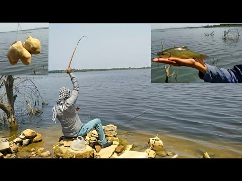 Catch And Release | Fish Catching | Guccha Gal Fishing 🎣 Indian Fishing ...