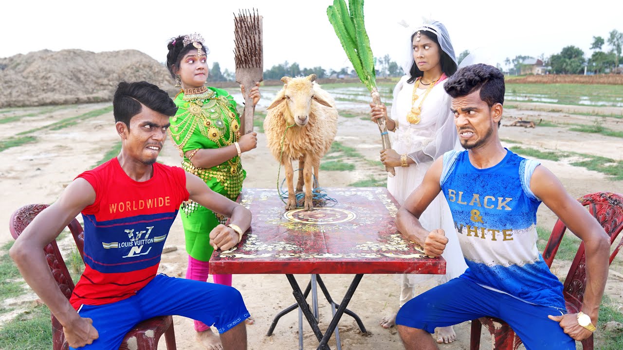 New Special Challenging Video2022 ! Must Watch New Tui Tui Funny Video ...