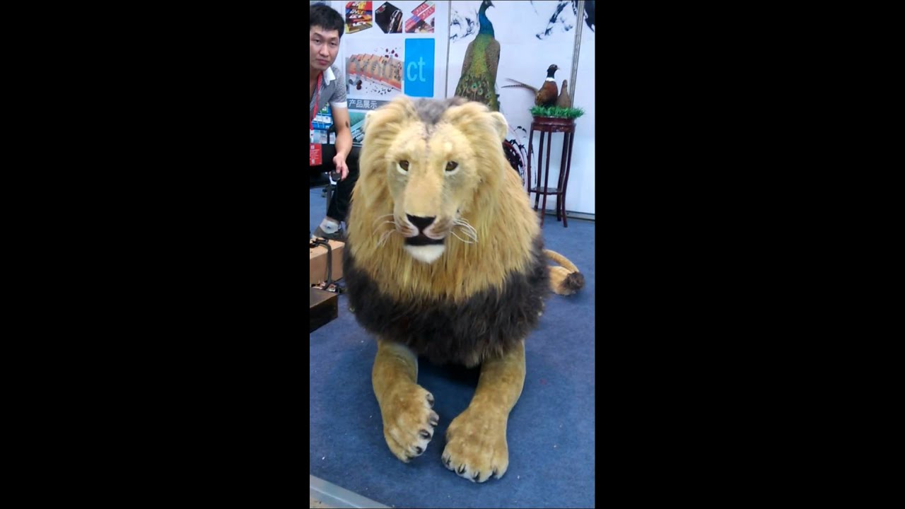 animatronic lion - YouTube