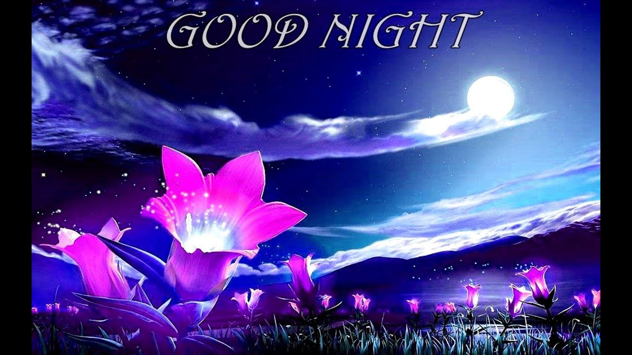 Another Good Night Stream and then Chilling with Me (Stream) - YouTube