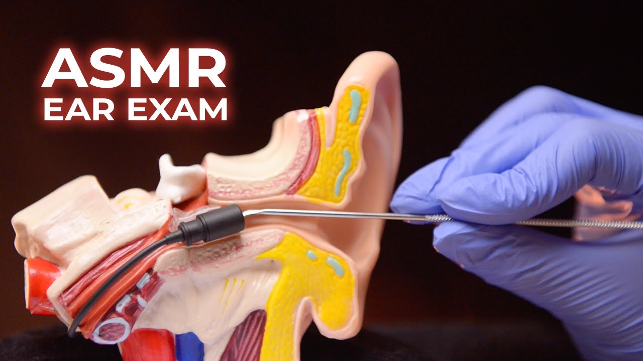 ASMR Inner Ear Exam (No Talking) - YouTube