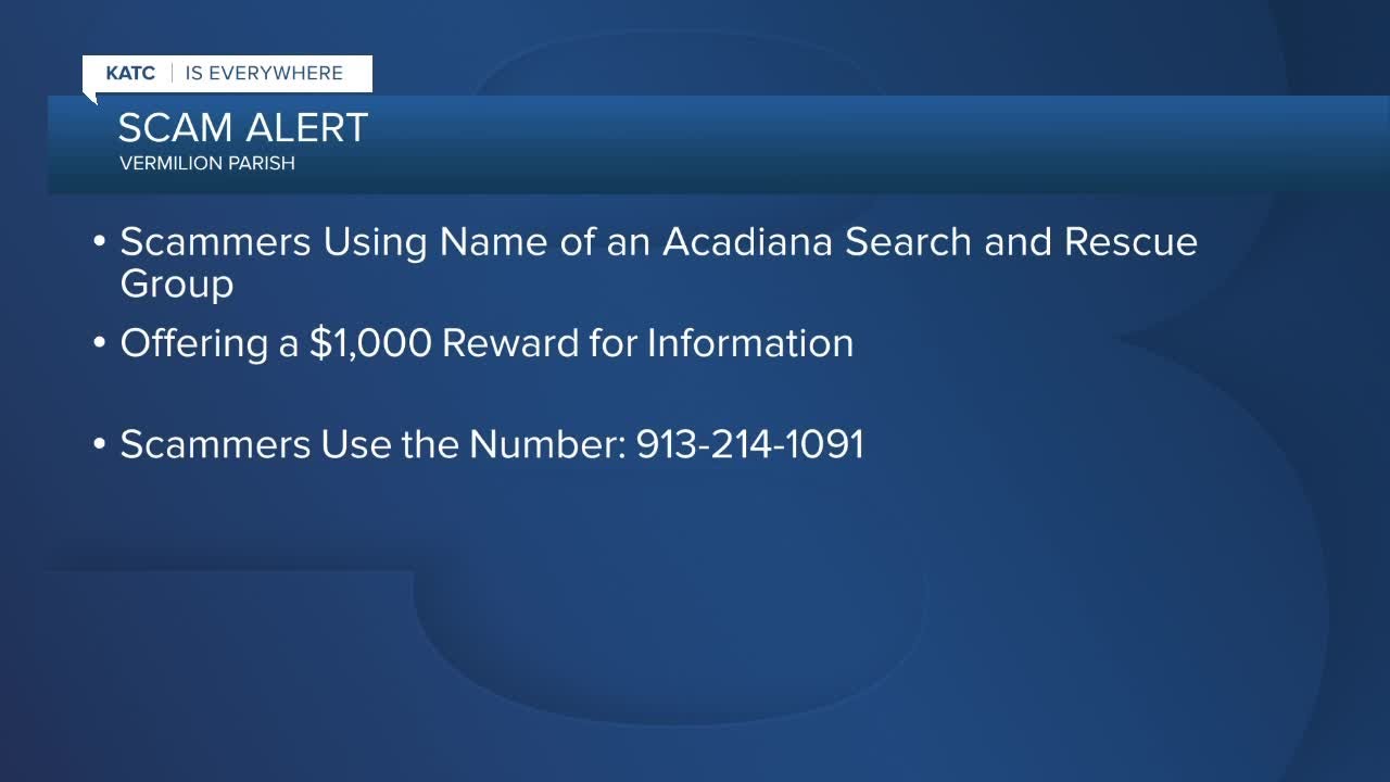 Local rescue group offers reward after scam attempts - YouTube