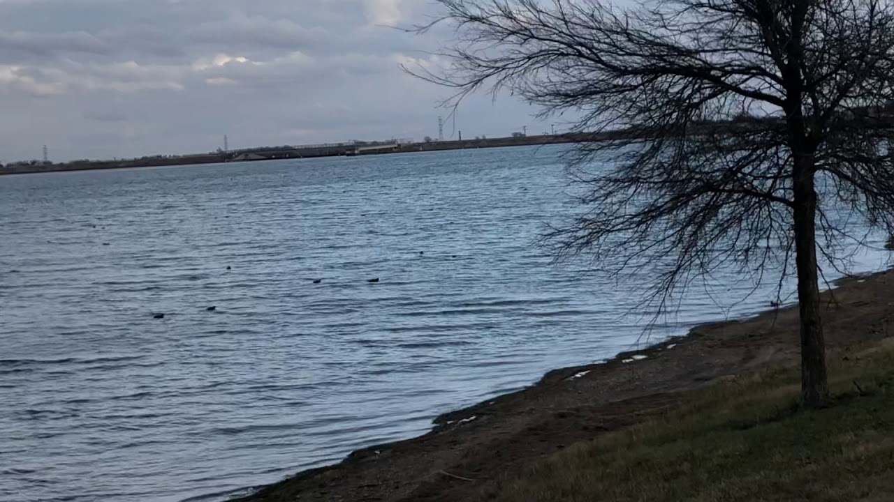 December 26, 2018 - YouTube