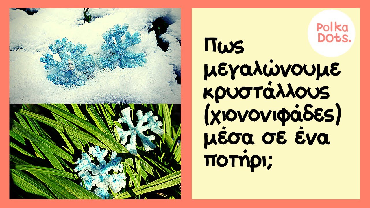 Πώς μεγαλώνουμε κρυστάλλους σε ένα ποτήρι; (ΠΕΙΡΑΜΑΤΑ ΓΙΑ ΠΑΙΔΙΑ) - YouTube