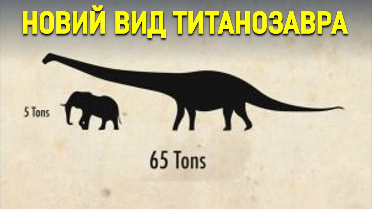 Новий вид гігантського титанозавра вагою 50 тонн відкрили в Аргентині ...