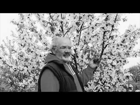 bazen ucmak isterim - bekleyin (mansur balcı)