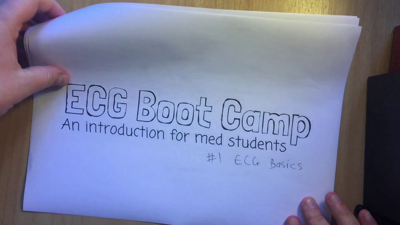ECG Boot Camp #1 - ECG Basics - YouTube