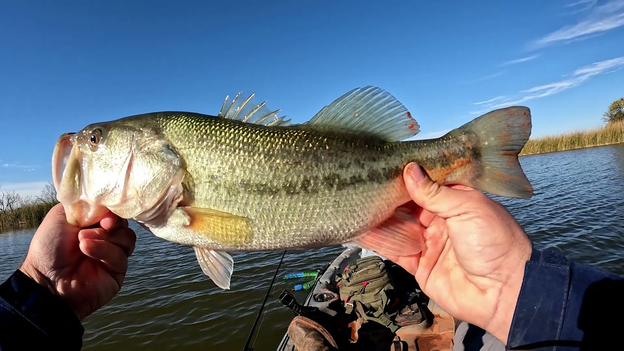Kayak Bass Fishing ! ( Lots Of Bass Caught) - YouTube