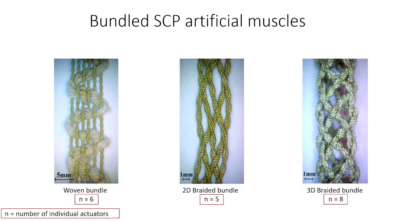 "Bundled Super-Coiled Polymer Artificial Muscles: Design ...