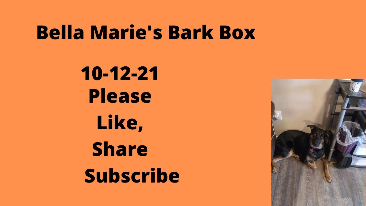 Bella Marie's Bark Box (10/12/21) - YouTube