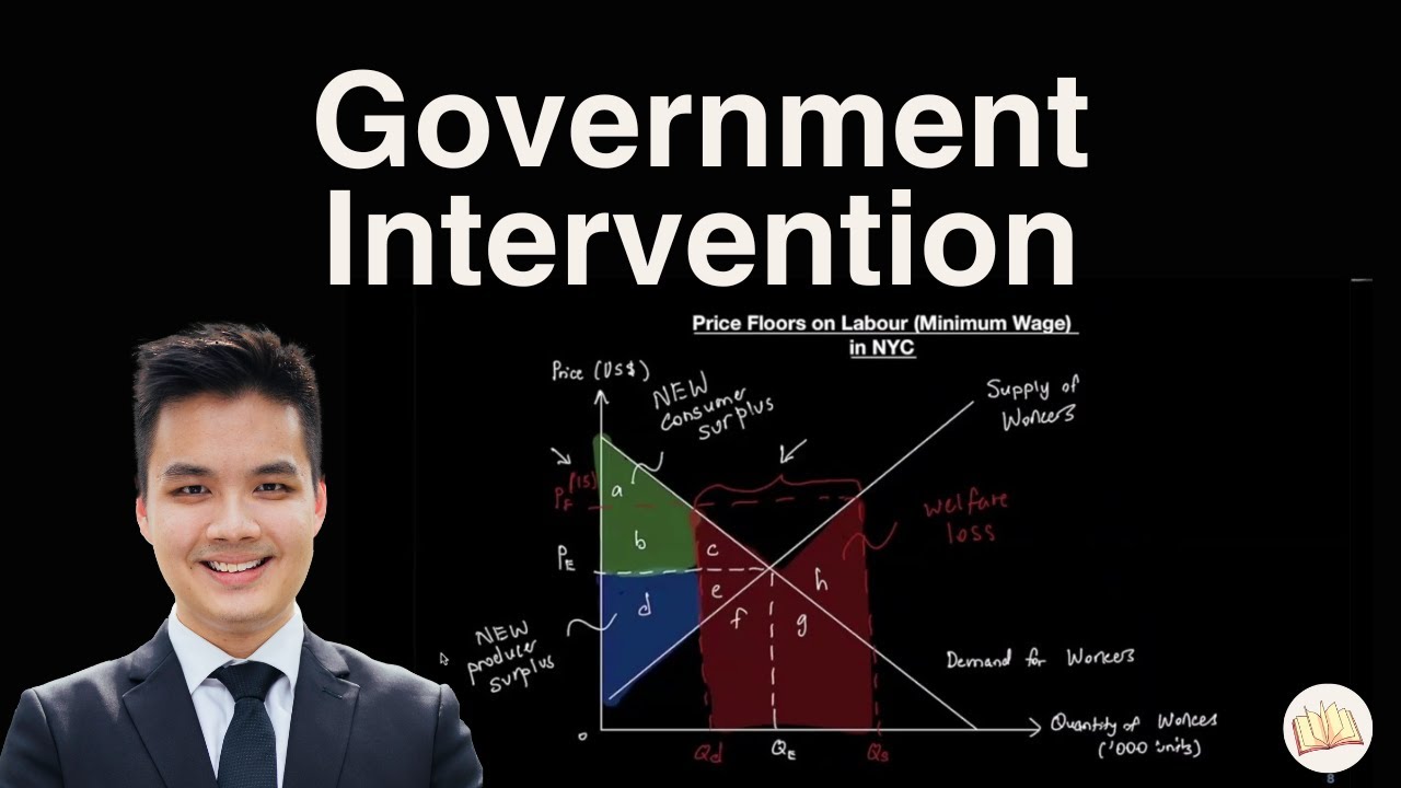 IB Economics: Introduction to Government Intervention | Microeconomics ...