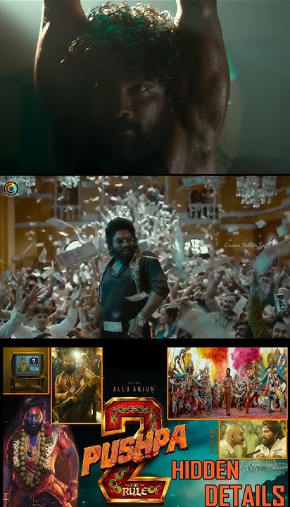 Pushpa 2 The Rule Hidden Details Break Down : Allu Arjun, Sukumar | Pushpa 2 Trailer #shorts 3 ...