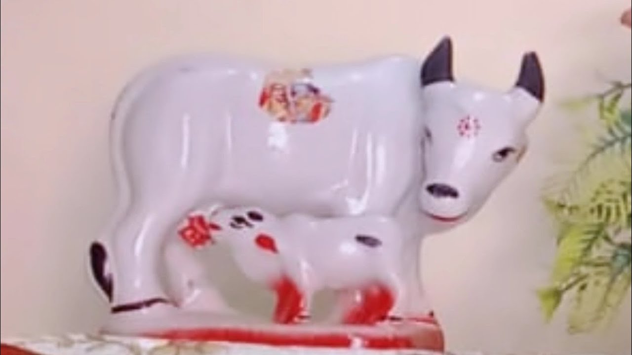 Pahadan is live - YouTube