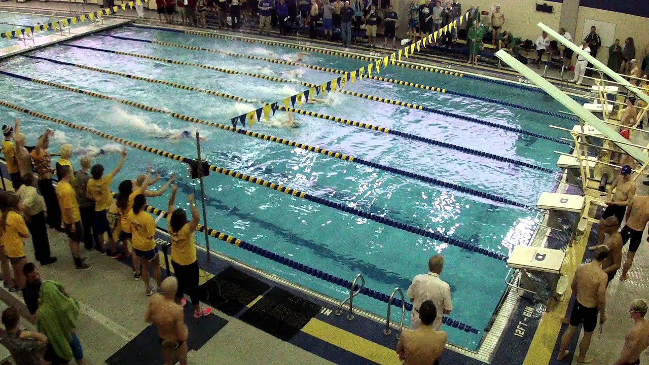 Lyons township high school swimming - statszoqa