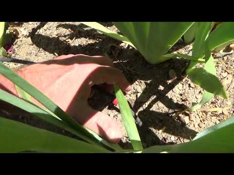 How To Test Drip Irrigation System