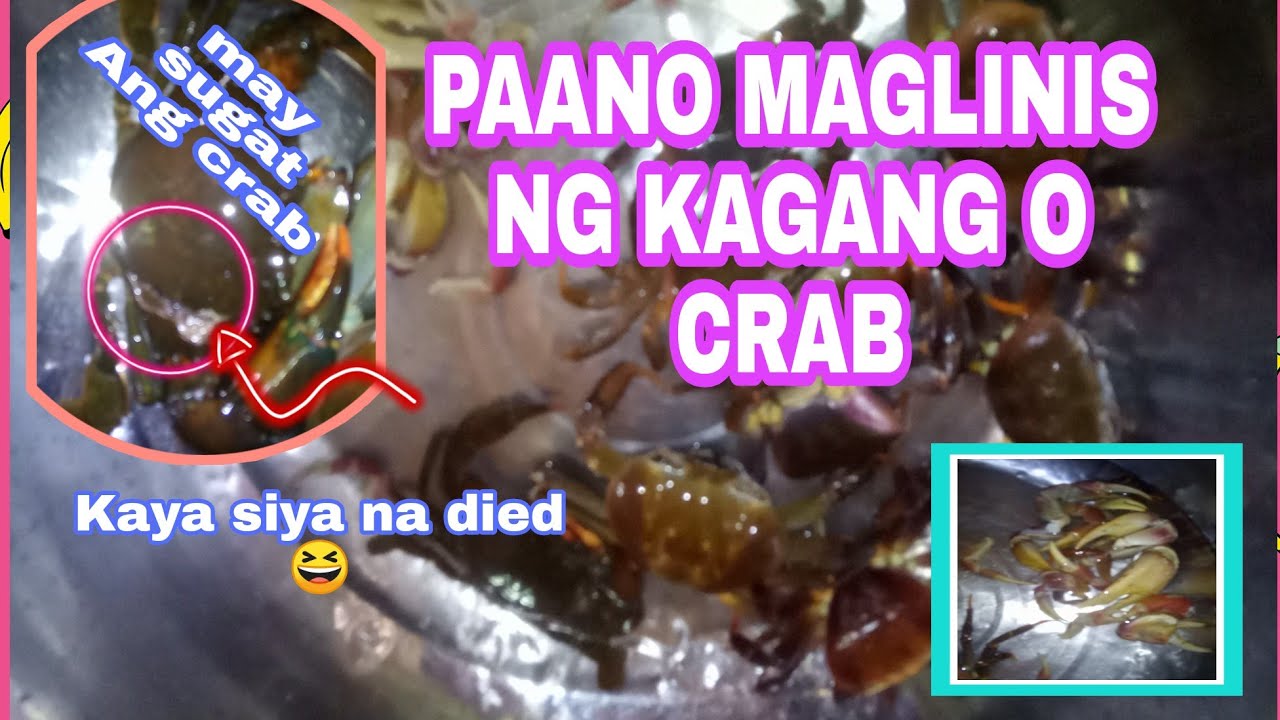 PAANO MAGLINIS NG KAGANG SA BISAYA O CRAB "😆 - YouTube