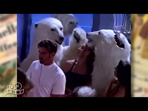 Bundy Bear Bundaberg Rum Dark & Stormy 1990s Advertisement Australia Commercial Ad