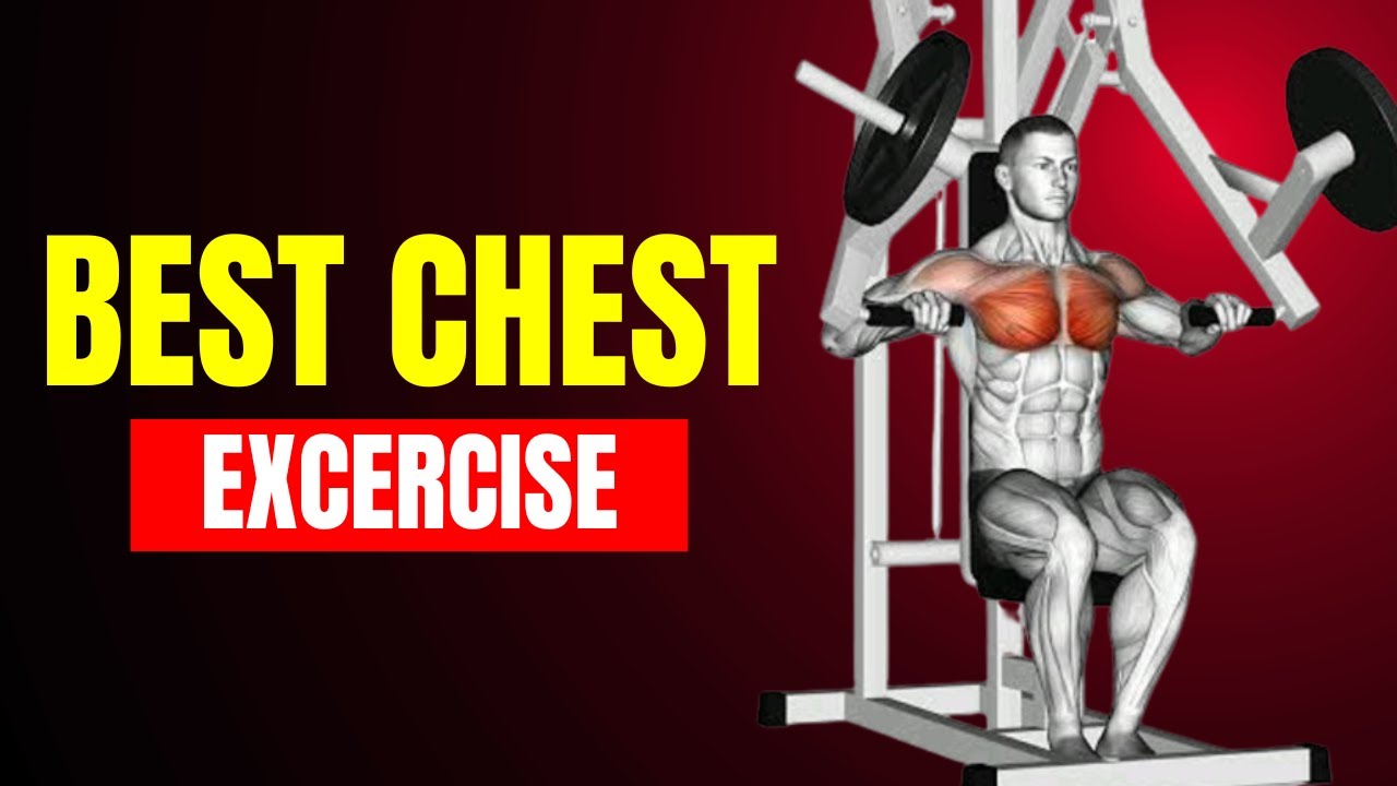 Build a Bigger Chest: Top 5 Effective Exercises for Impressive Pectoral ...