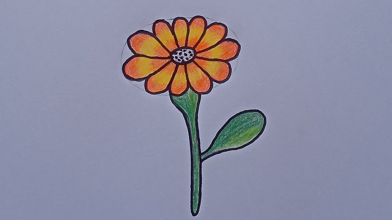 Zinnia flower drawing tutorial, how to draw zinnia flowers step by step ...