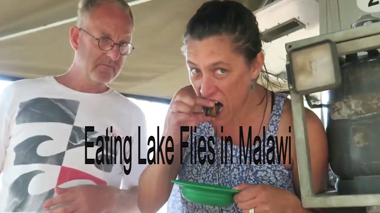 Fly Burgers at Lake Malawi African Safari 2018 Heading north Episode 11 ...
