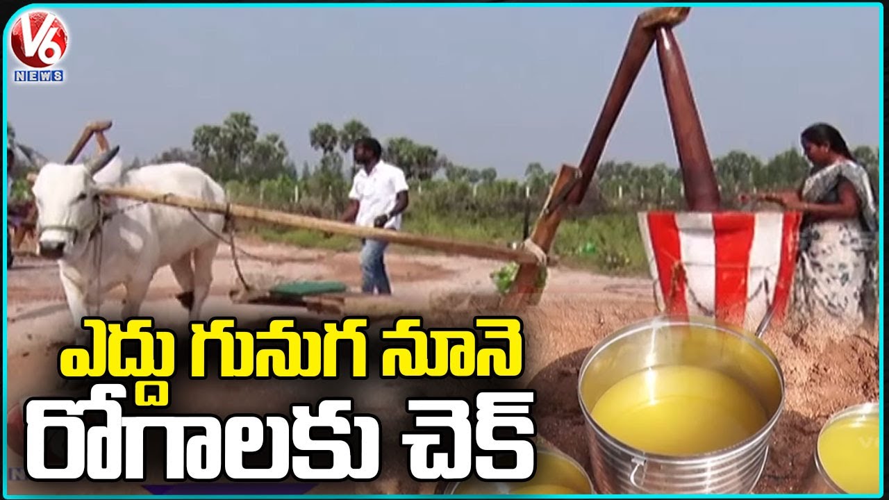 Organic Oil | Yeddu Ganuga Oil | Cooking Oil | Nalgonda | V6 News - YouTube