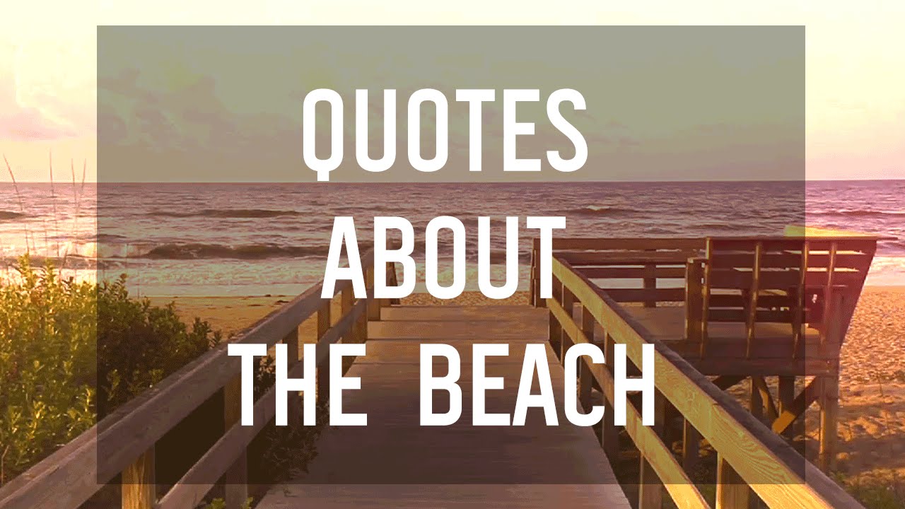 Beach Pier Quotes Discover The 8 Best Beaches In Port Elizabeth