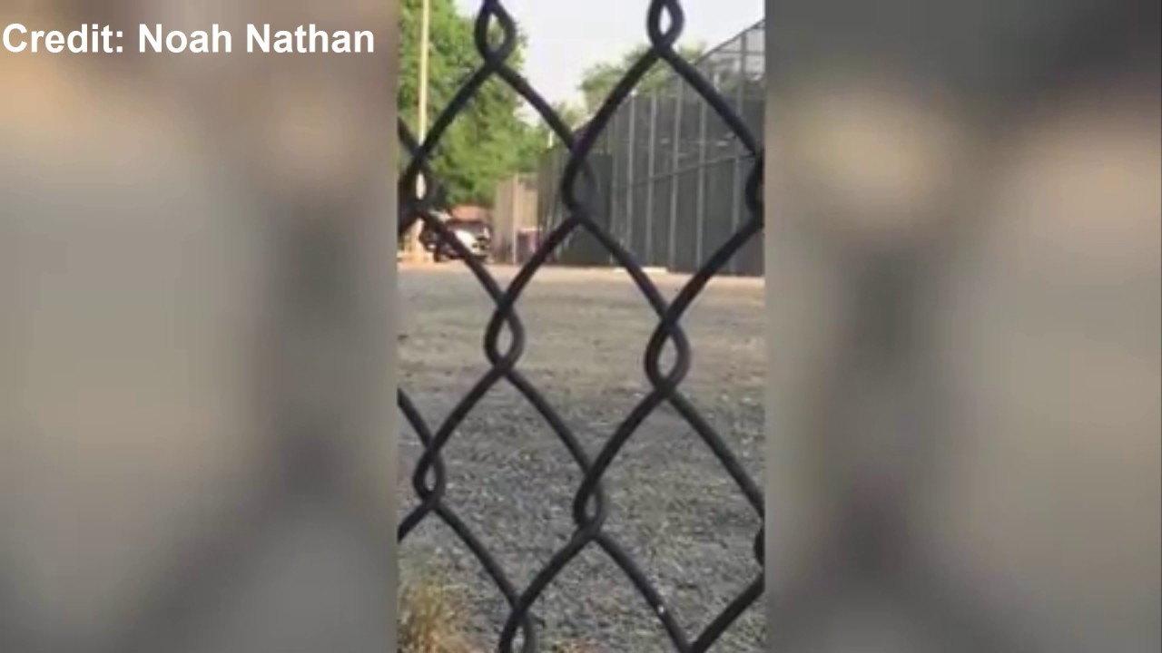 Gunman with rifle attacks Congressional baseball practice: Moment that ...