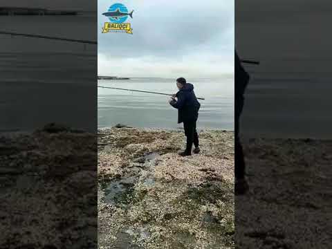 Baliq ovu salyan xidirli (denize 3 km iceri)
