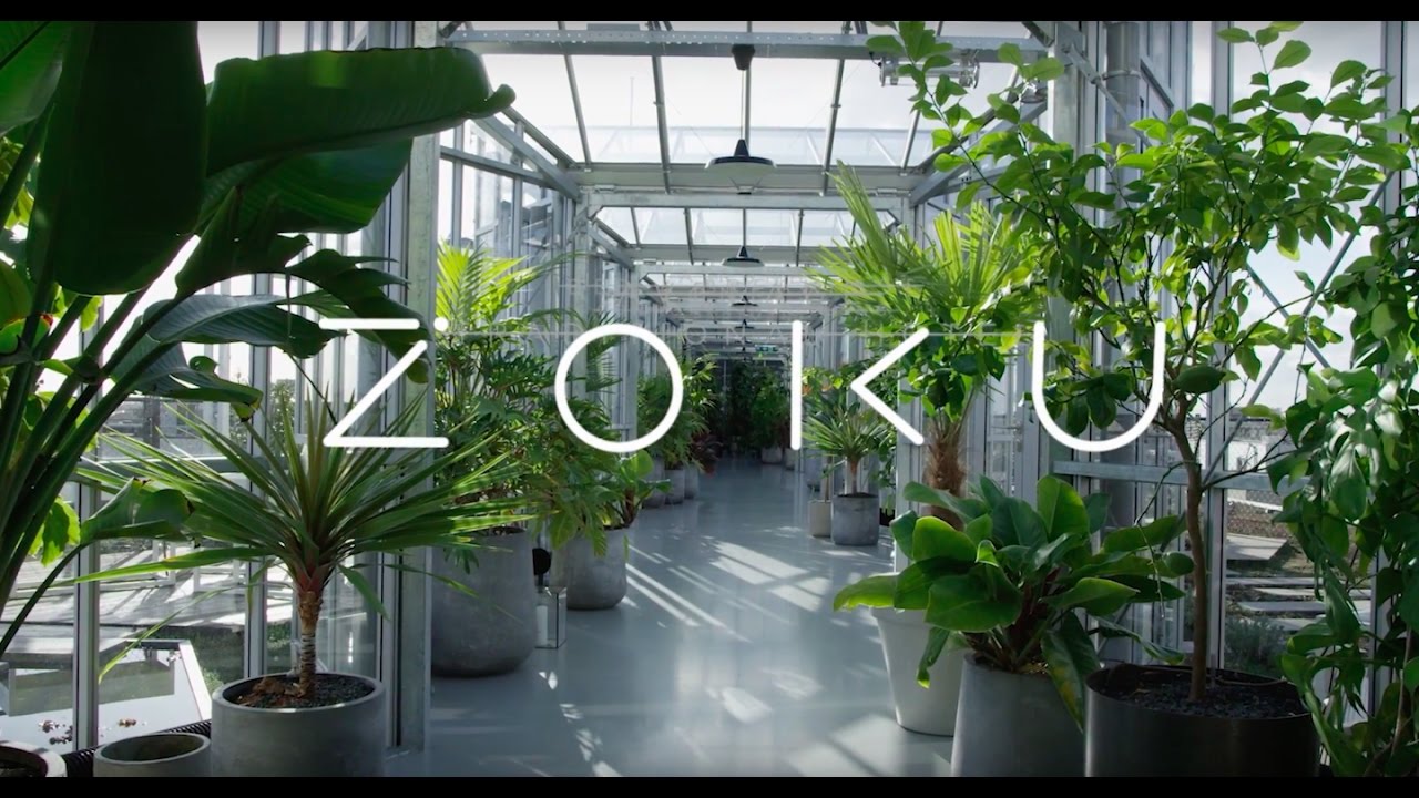 Life At Zoku - YouTube