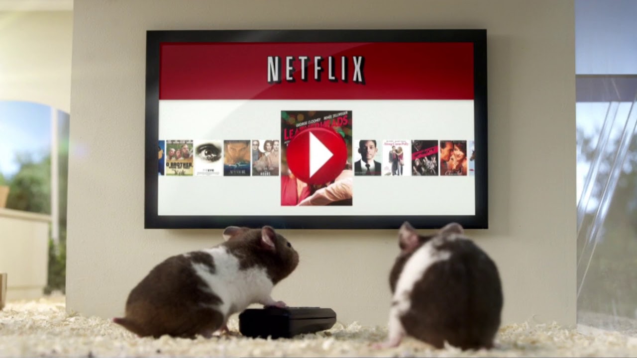 Netflix Hamsters - YouTube