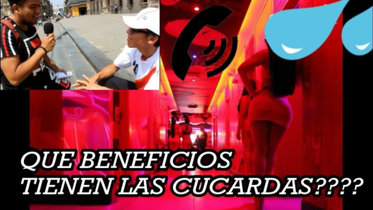 QUE BENEFICIOS TIENEN LAS CUCARDAS??? ENTREVISTAS - YouTube