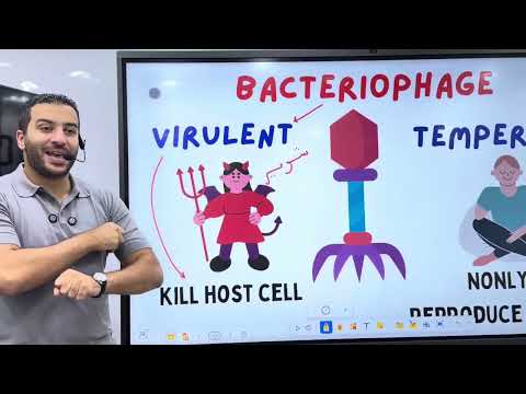 Lecture (4) - Genetics and Phage - KASR 2027
