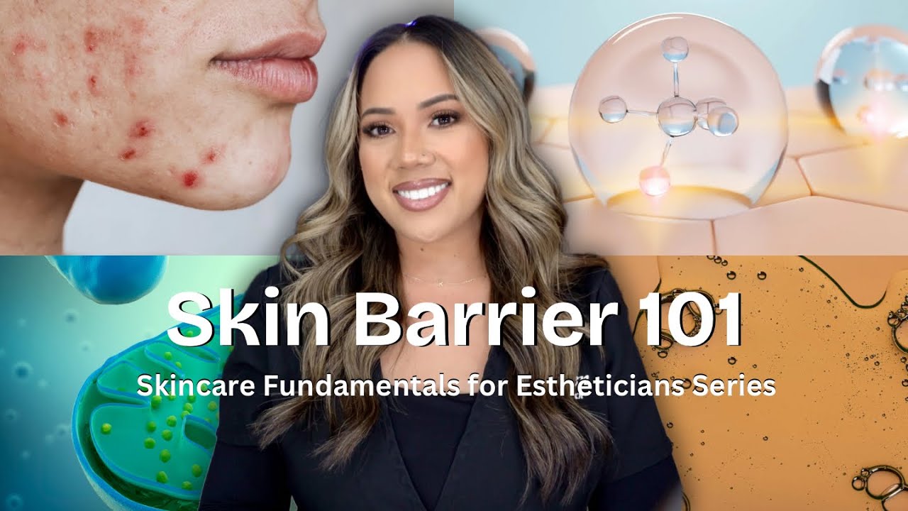 SKIN BARRIER 101: HOW TO REPAIR THE SKIN BARRIER | SKINCARE ...