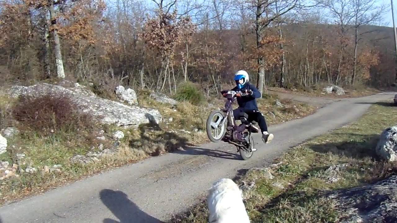 Atala Green impennata - YouTube