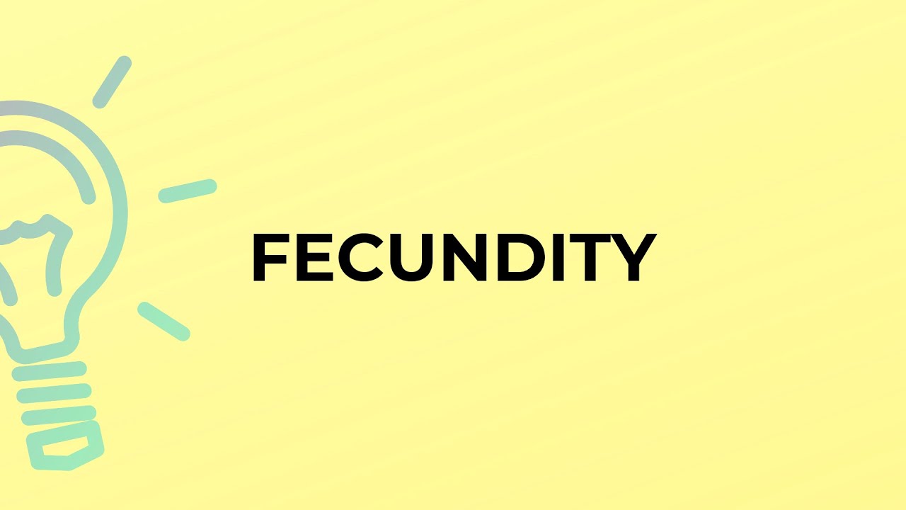 What is the meaning of the word FECUNDITY? - YouTube