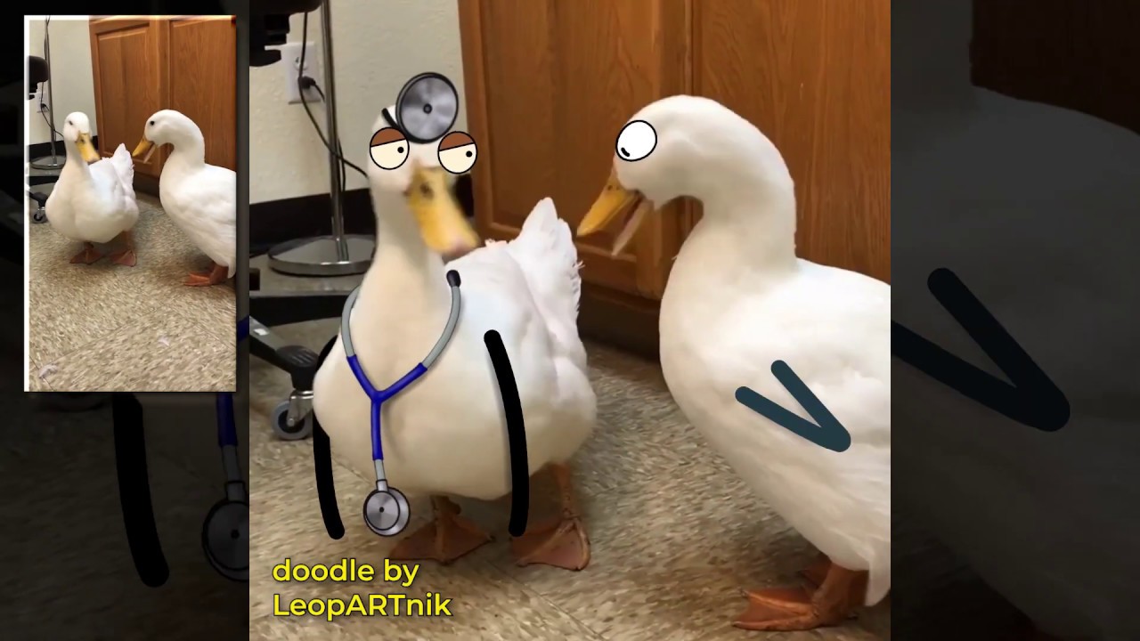 Ducktor and Special kind of patient (PIP version) - YouTube