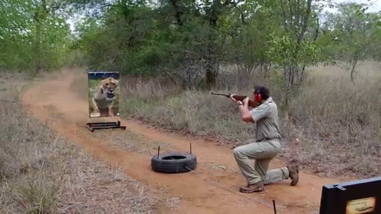 ARH Bushwise- April 2015 - YouTube