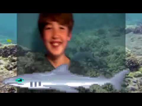 Lil Shark & Cold Hart - Awesome (Official Video) - YouTube