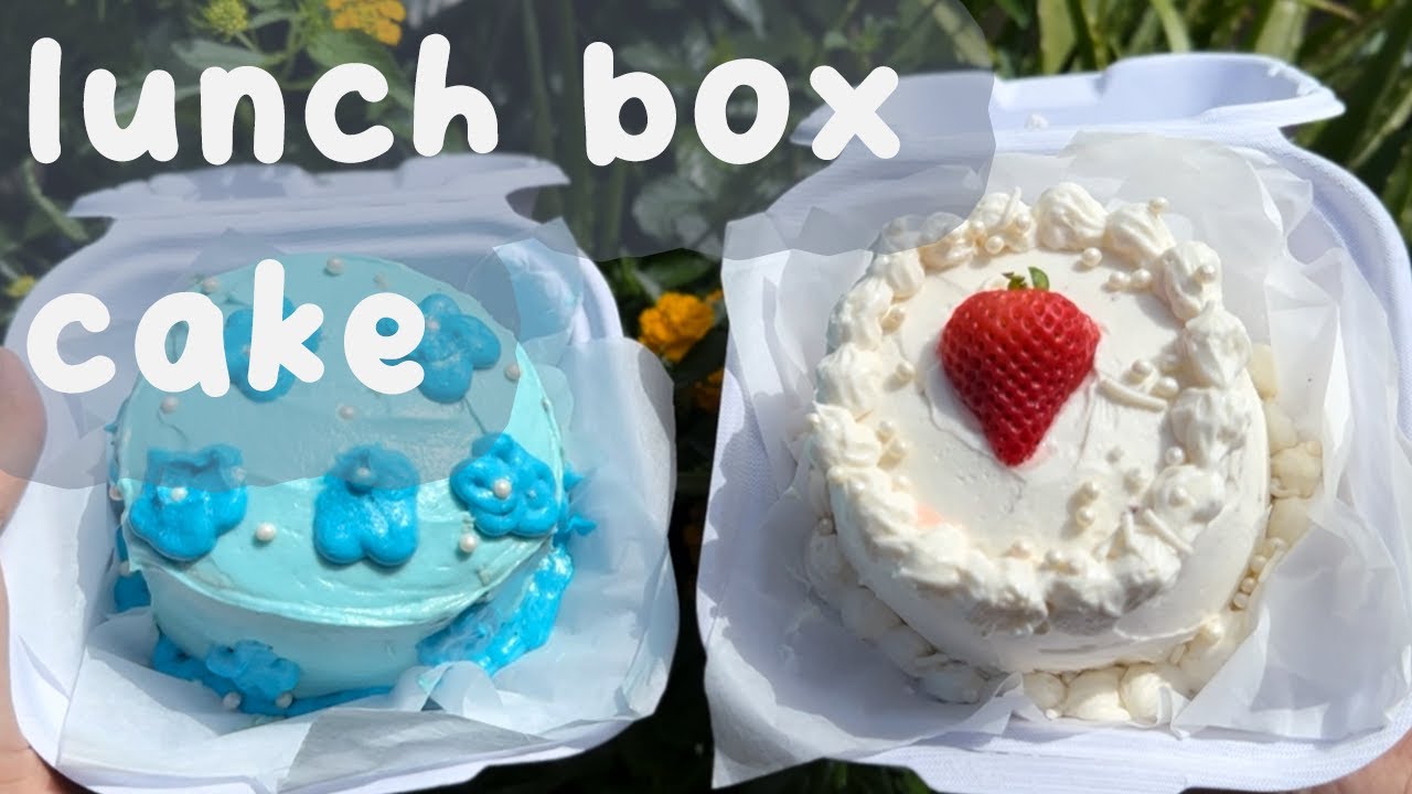 Almost Aesthetic Lunch Box Cakes 🍰 | Bake Craft Adventures - YouTube