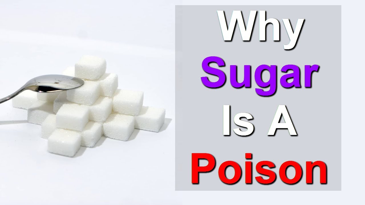 The Secret Dangers Of Sugar | Facts That Sugar Is A Poison - YouTube