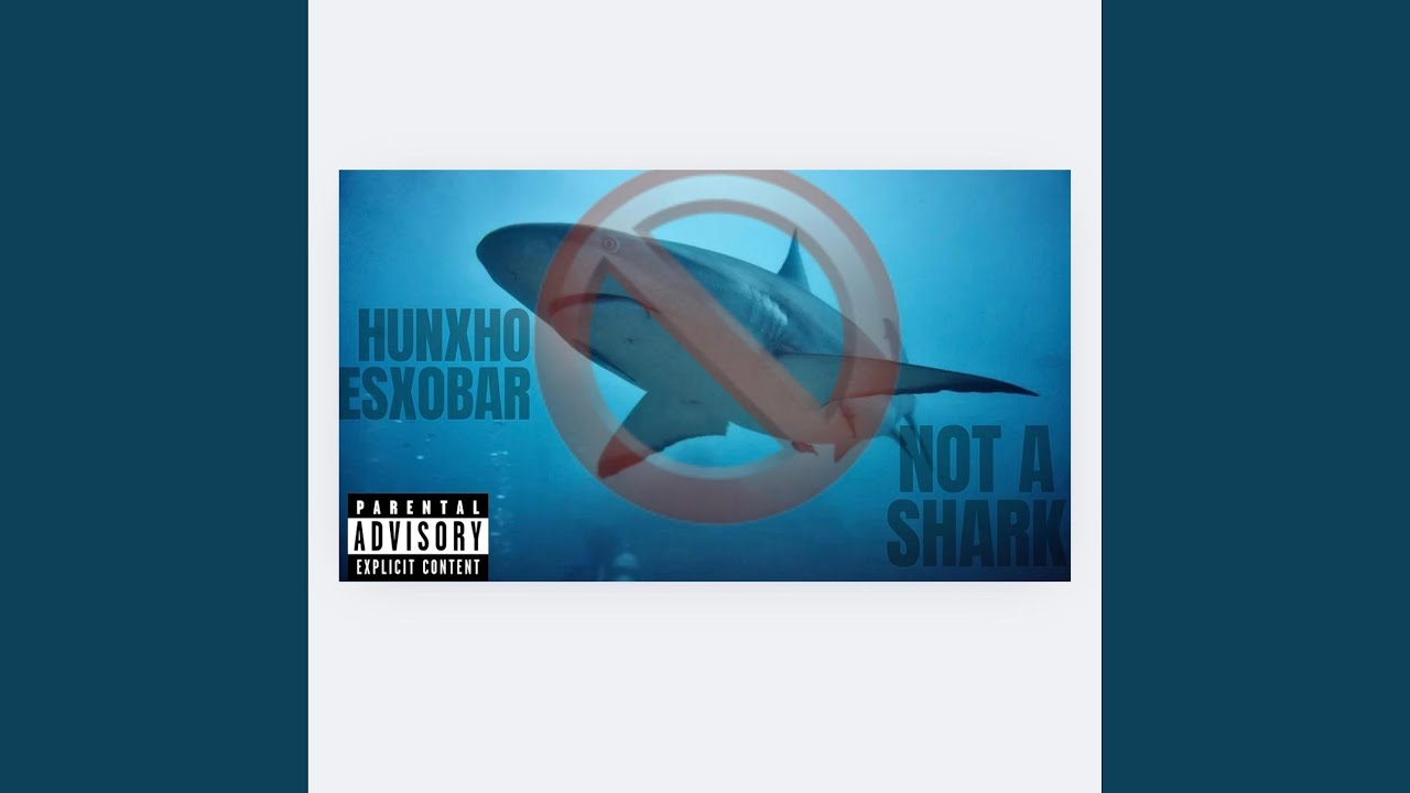 Not A Shark - YouTube